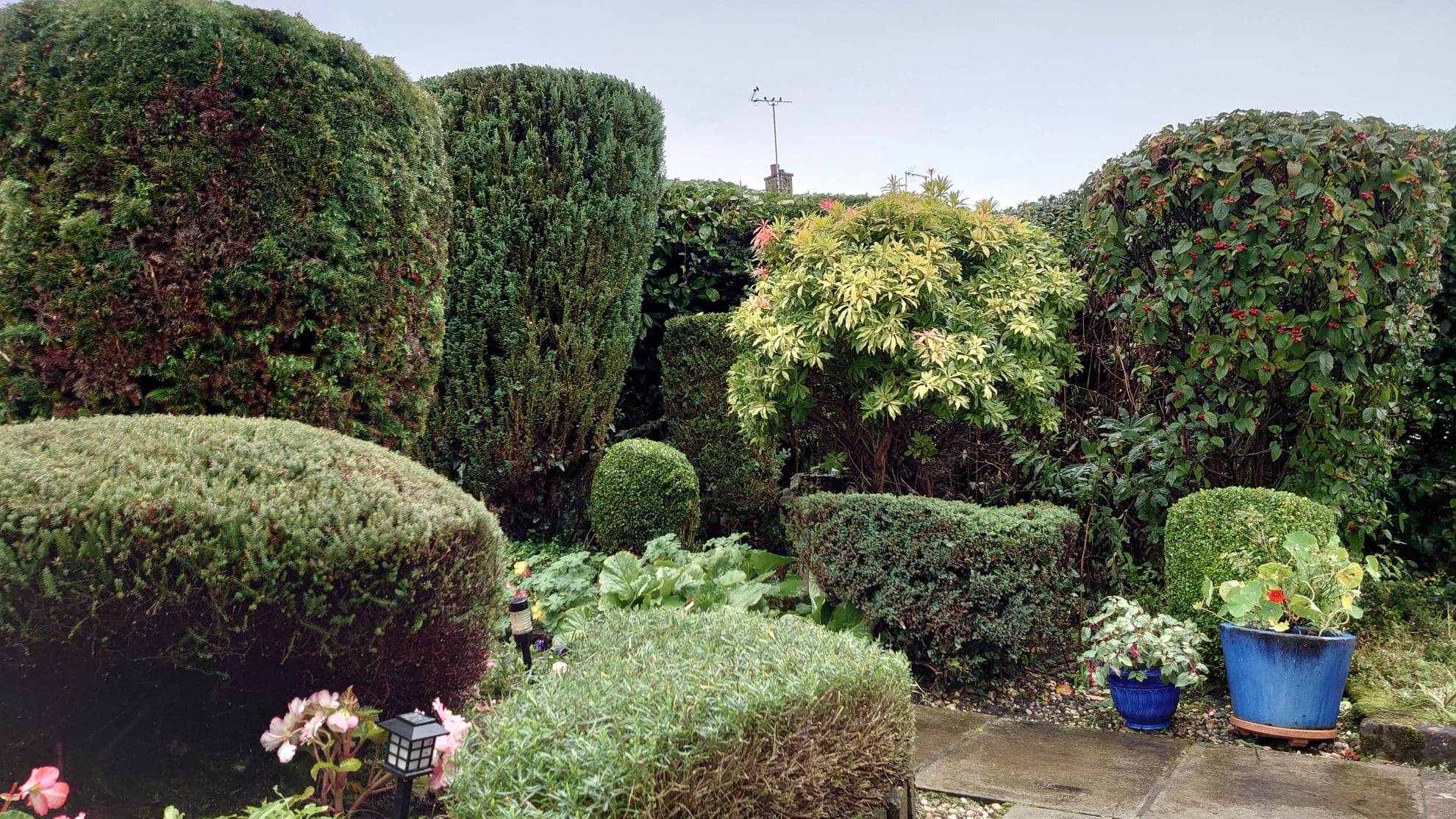 24 Garden in Scotland Ideas You Should Check | SharonSable