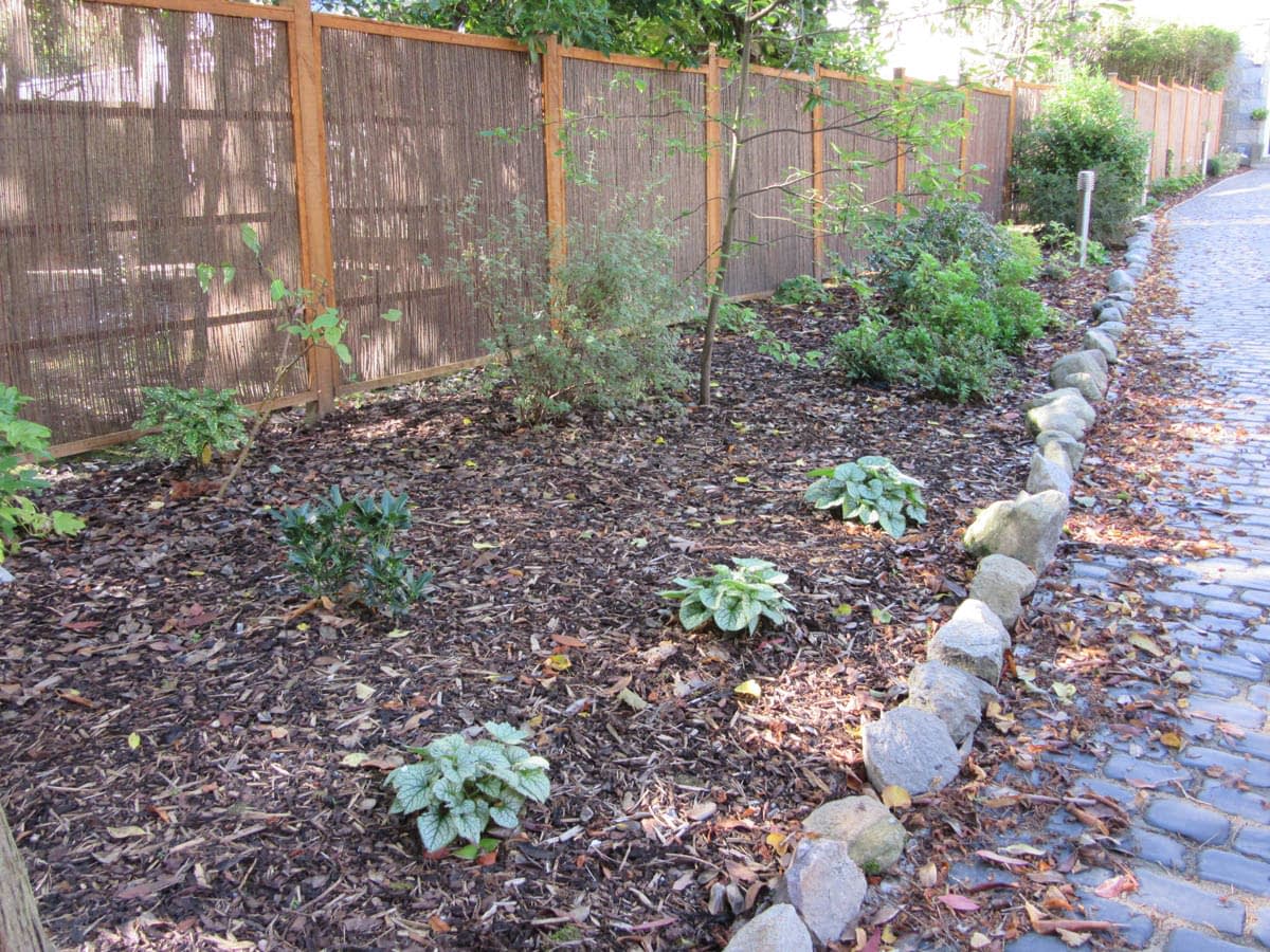 22 Aberdeen Garden Ideas To Try This Year | SharonSable