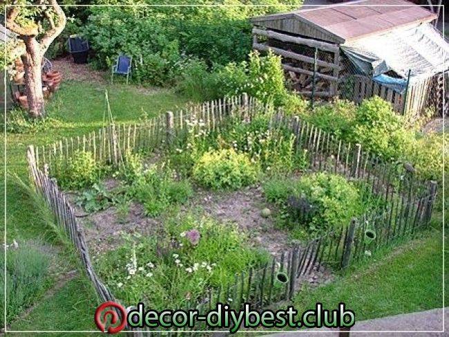 24 Prim Garden Ideas You Must Look | SharonSable