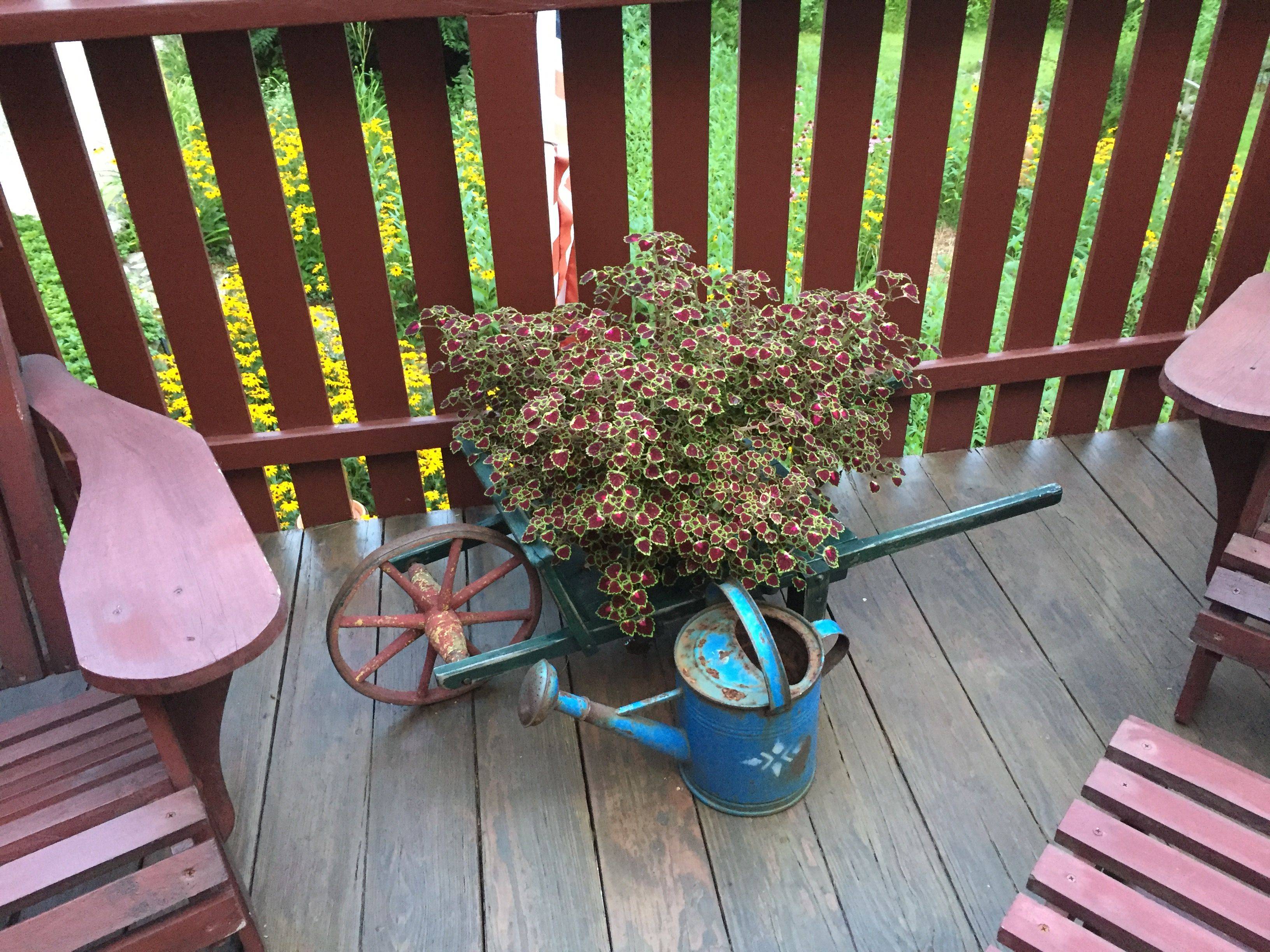 24 Prim Garden Ideas You Must Look | SharonSable