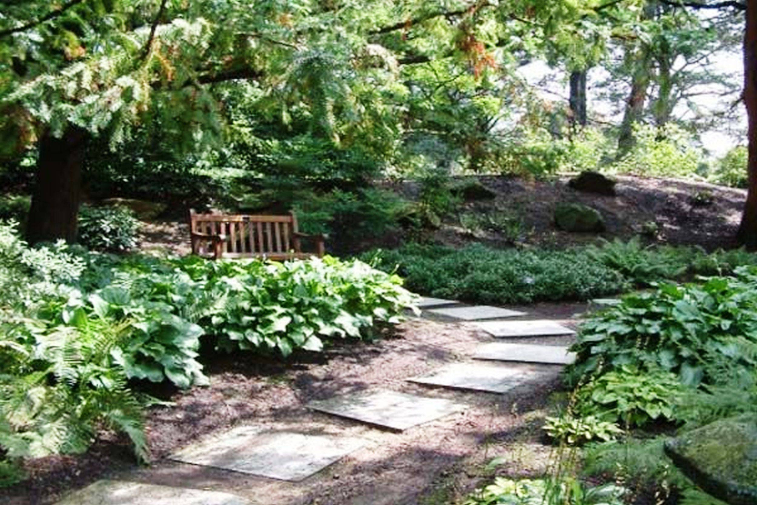 24 Shady Wood Garden Ideas You Gonna Love | SharonSable