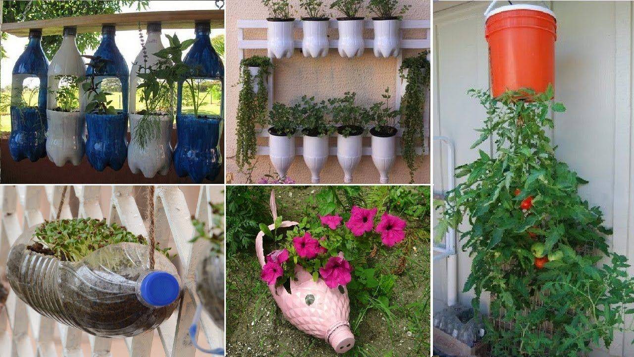 19 Reuse Plastic Bottles to Make Garden Ideas You Cannot Miss | SharonSable