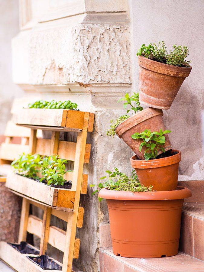 23 Vertical Container Gardening Ideas To Try This Year | SharonSable