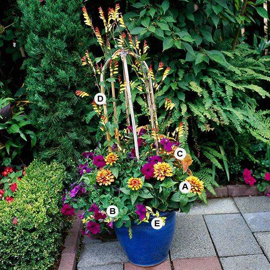 22 Potted Butterfly Garden Ideas For This Year | SharonSable
