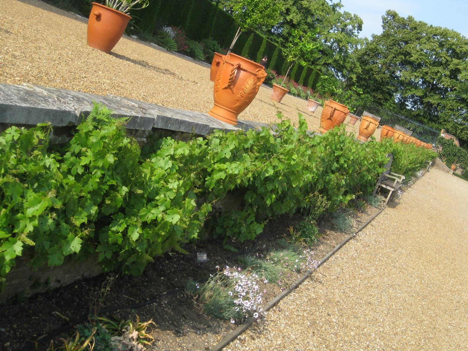 18 Terrace Board Lawn and Garden Edging Ideas For This Year | SharonSable