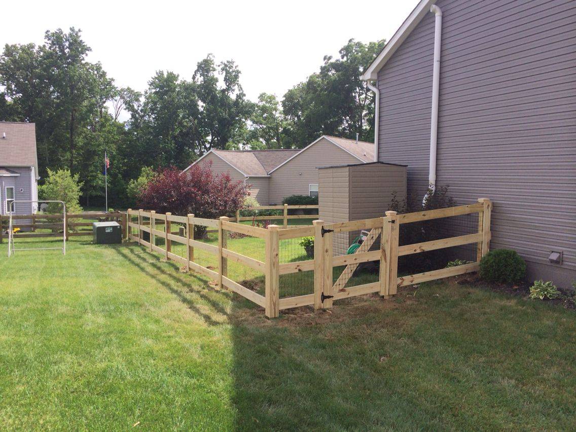 23 Wire Mesh Garden Fence Ideas You Should Look | SharonSable