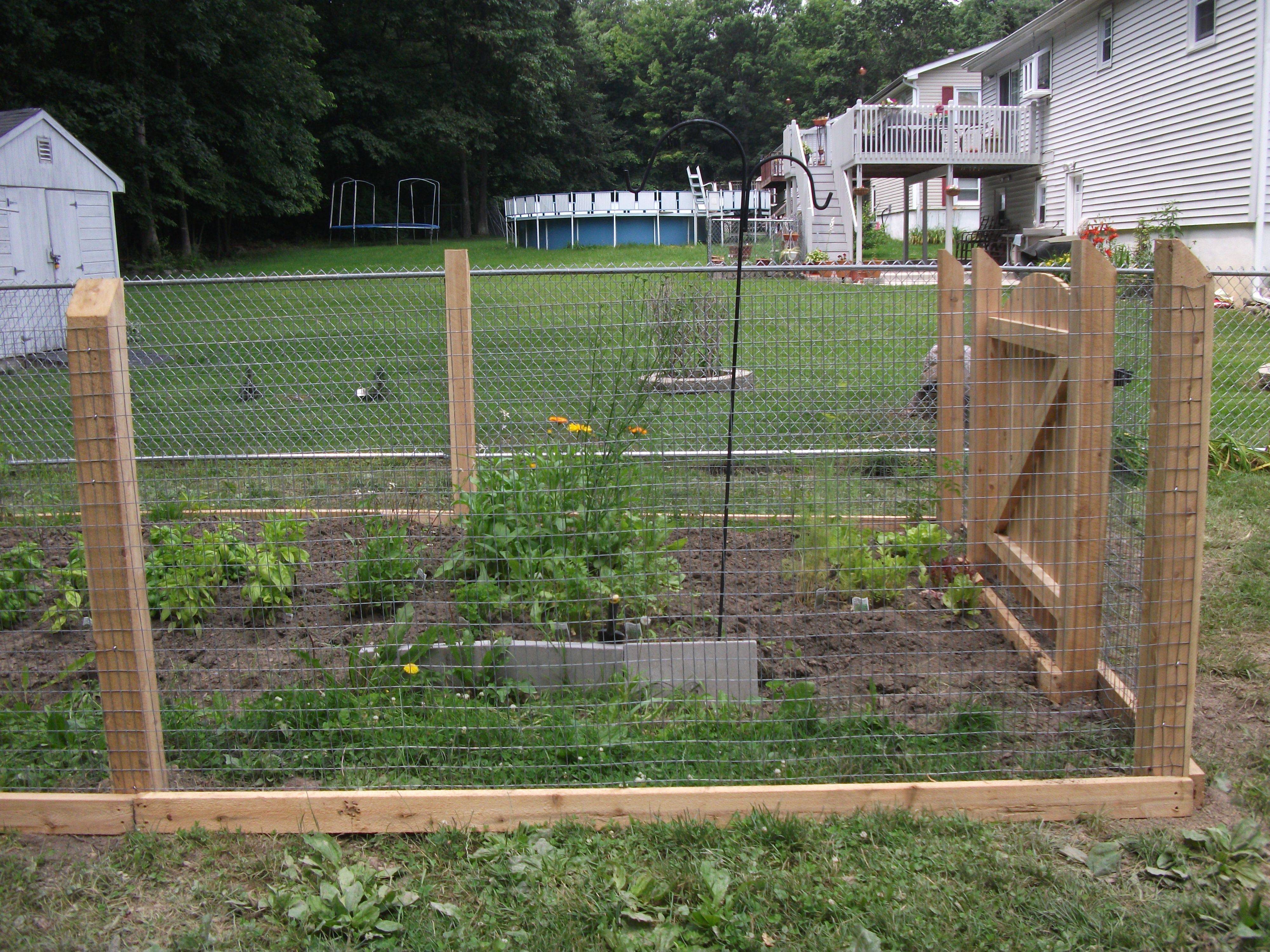 23 Wire Mesh Garden Fence Ideas You Should Look | SharonSable