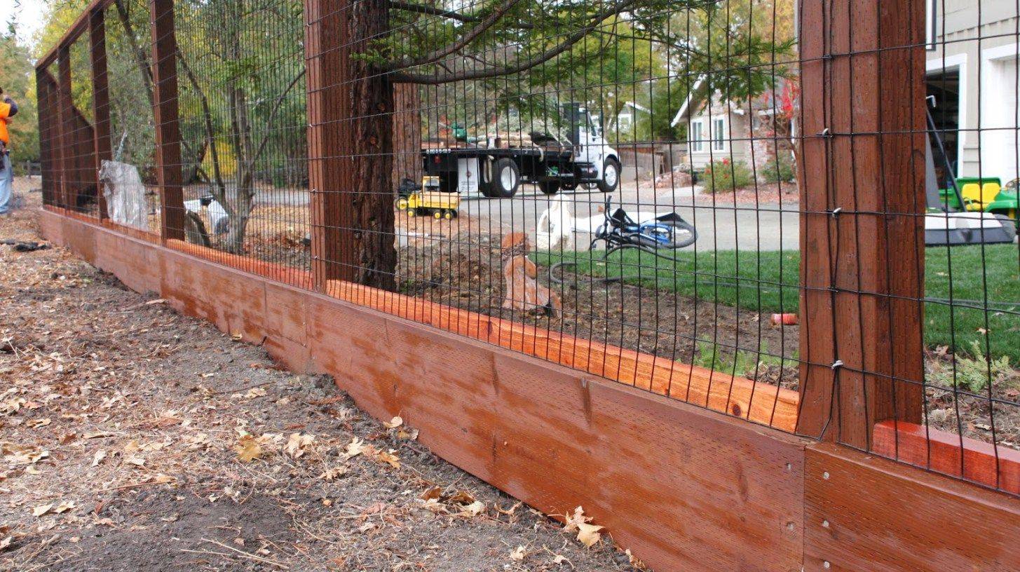 23 Wire Mesh Garden Fence Ideas You Should Look | SharonSable