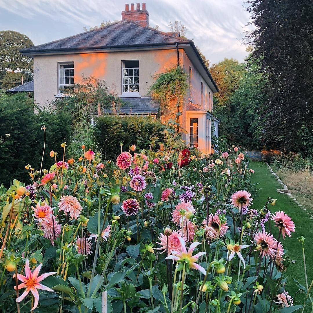 23 Cute Cottage Garden Ideas To Try This Year | SharonSable