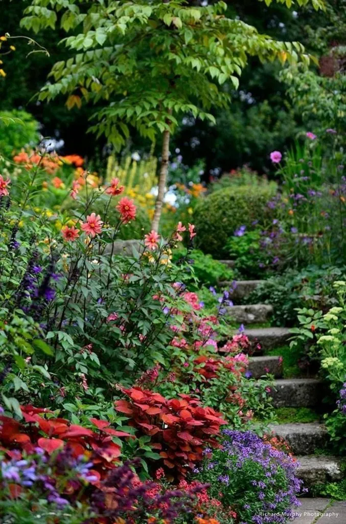 23 Front Garden Inspiration Ideas To Try This Year | SharonSable