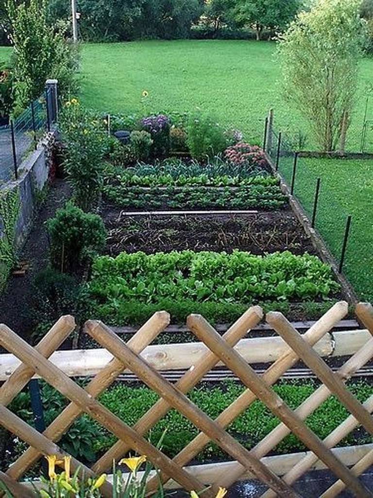 23 Best Small Vegetable Garden Ideas For This Year | SharonSable