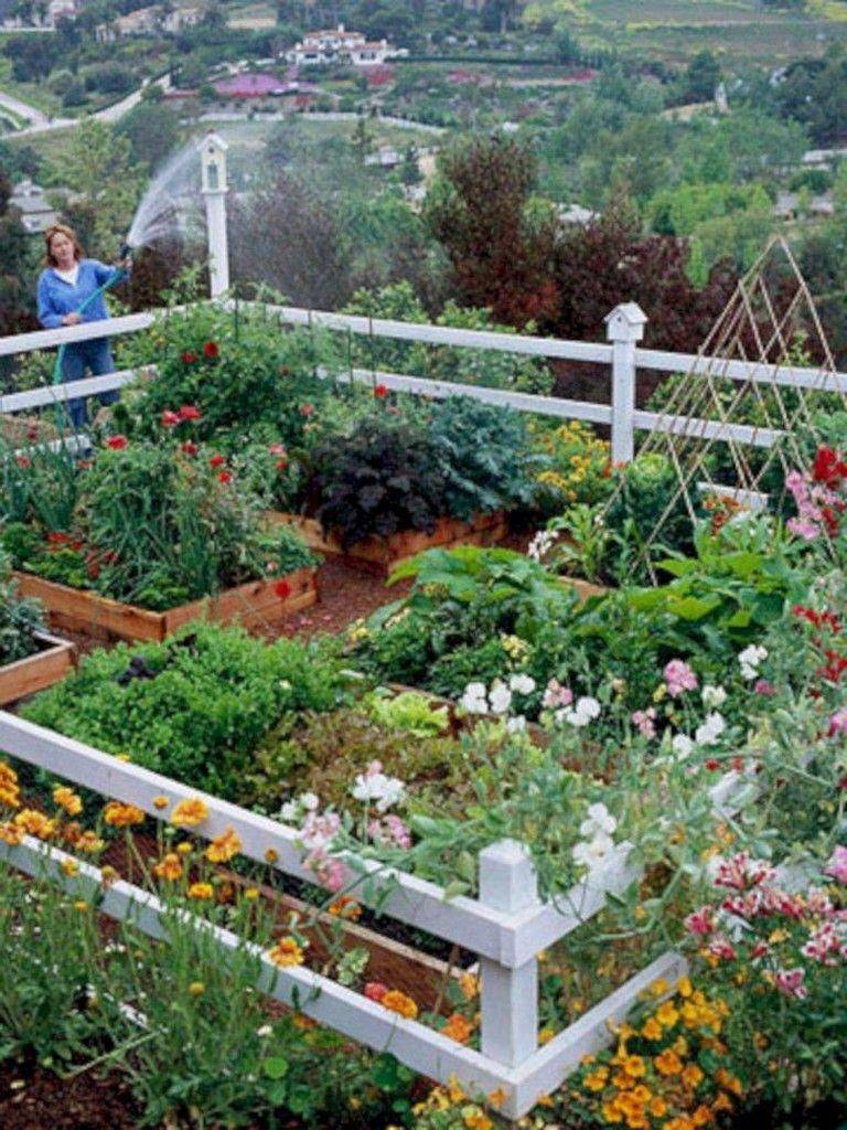 23 Best Small Vegetable Garden Ideas For This Year | SharonSable