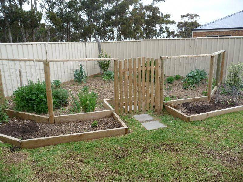 21 Cute Vegetable Garden Ideas You Should Look | SharonSable