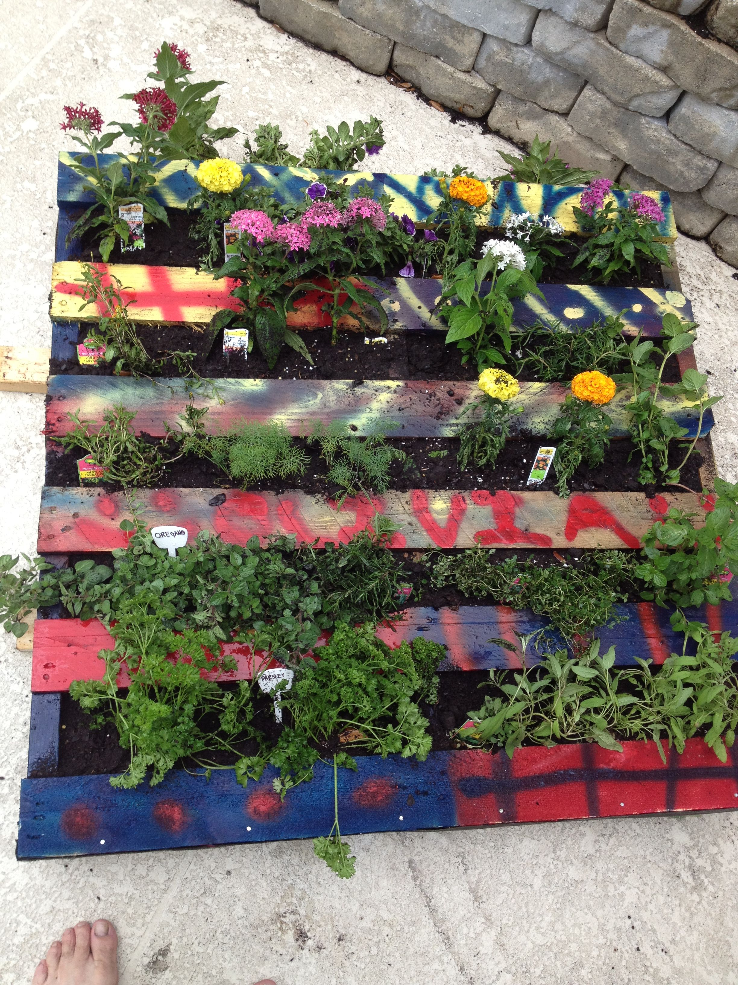 25 Painted Pallet Garden Ideas You Cannot Miss | SharonSable
