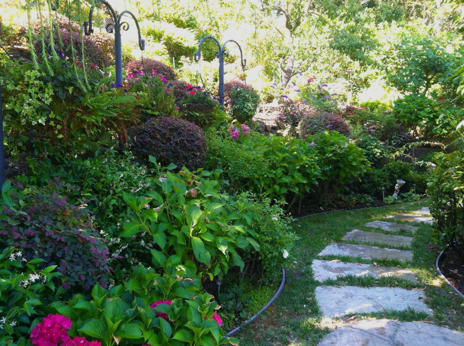 25 Woodland Shade Garden Ideas To Try This Year | SharonSable