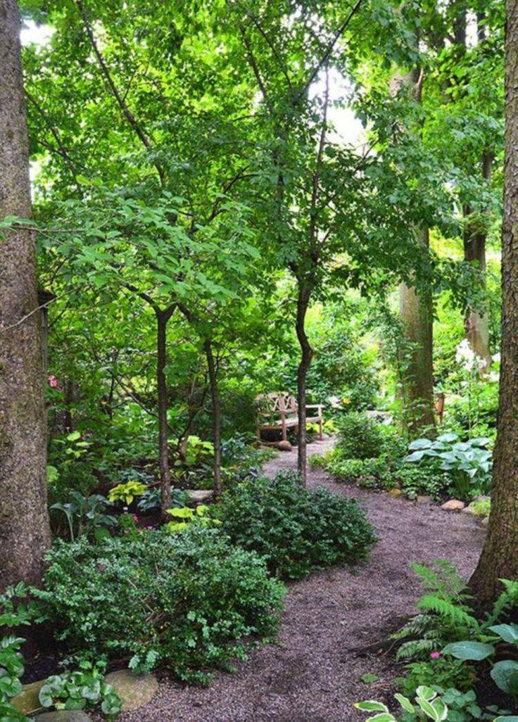24 Forest Garden Paths Ideas For This Year | SharonSable