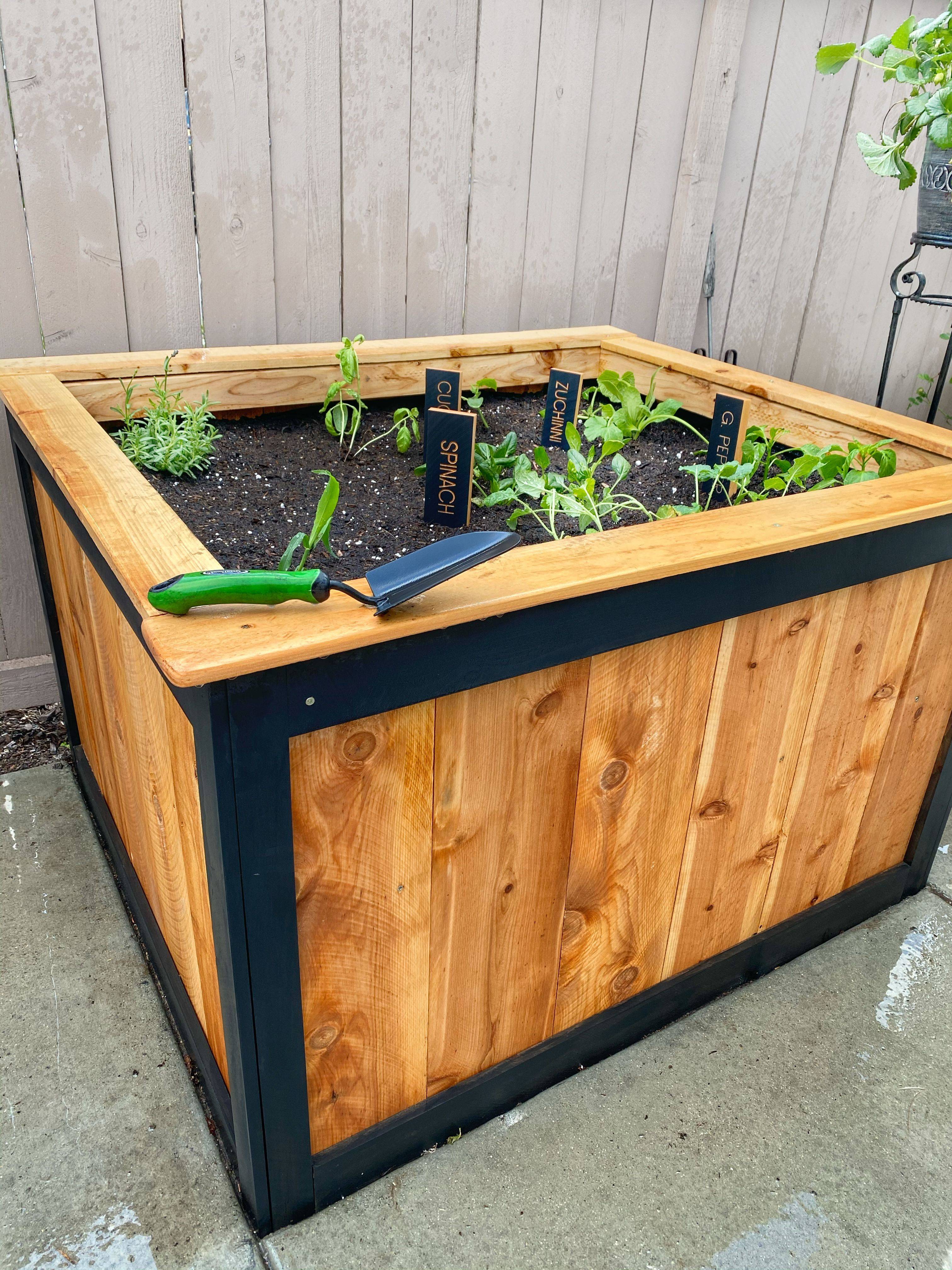 19 DIY Tall Raised Garden Bed Ideas You Should Check | SharonSable