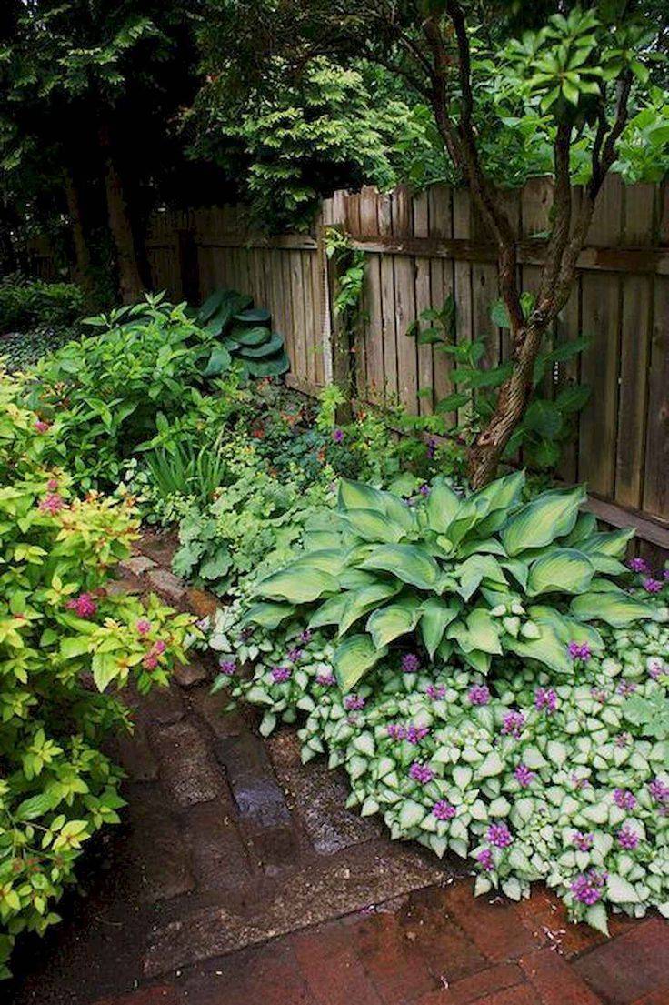 24 Shade Rock Garden Ideas You Must Look | SharonSable