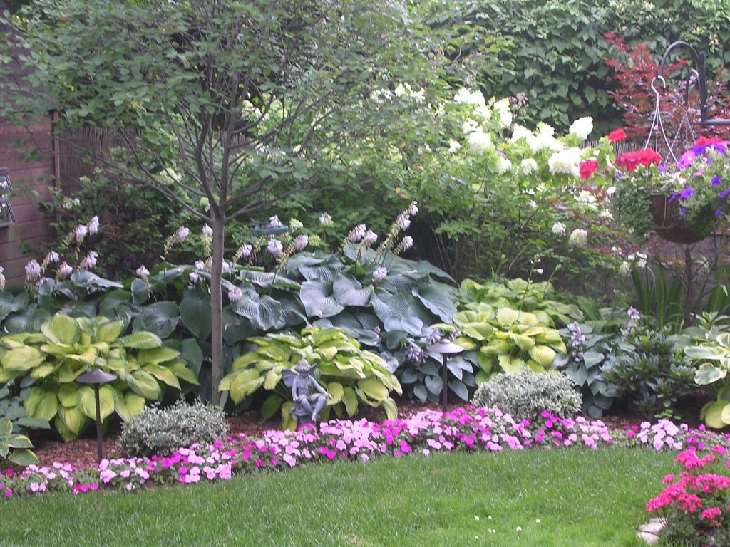 20 Hosta Garden Plan Ideas You Should Look | SharonSable