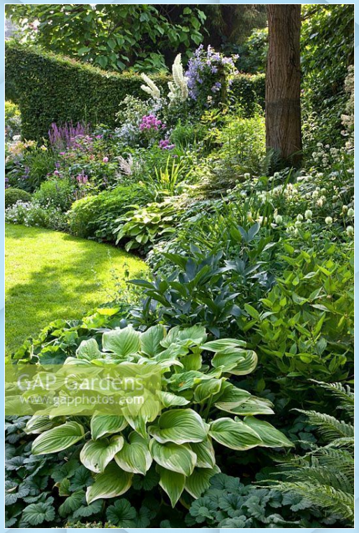 20 Hosta Garden Plan Ideas You Should Look | SharonSable
