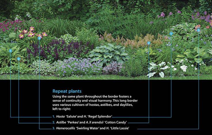 19 Shade Garden Plans Zone 6 Ideas For This Year | SharonSable
