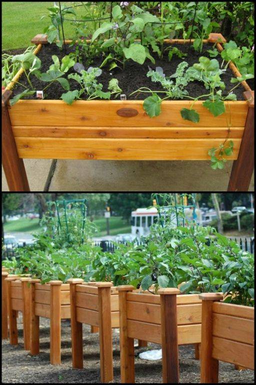 23 Rustic Raised Garden Beds Ideas You Should Look | SharonSable