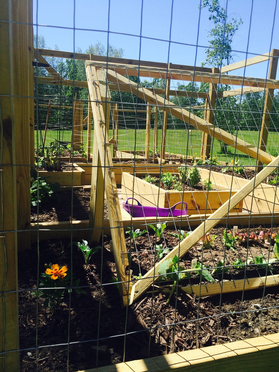 23 Raised Garden Beds with Enclosure Ideas For This Year | SharonSable