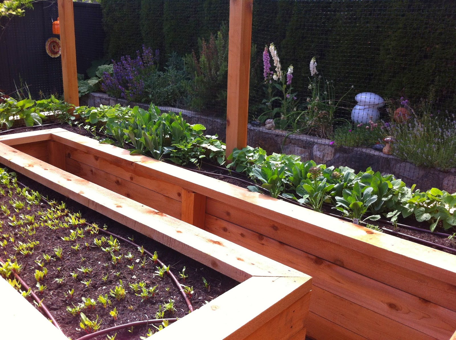 23 Raised Garden Beds with Enclosure Ideas For This Year | SharonSable