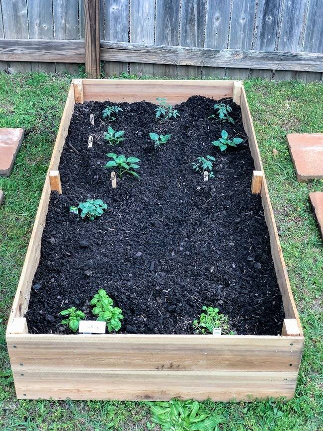 23 DIY Frugal Raised Garden Beds Ideas You Must Look | SharonSable