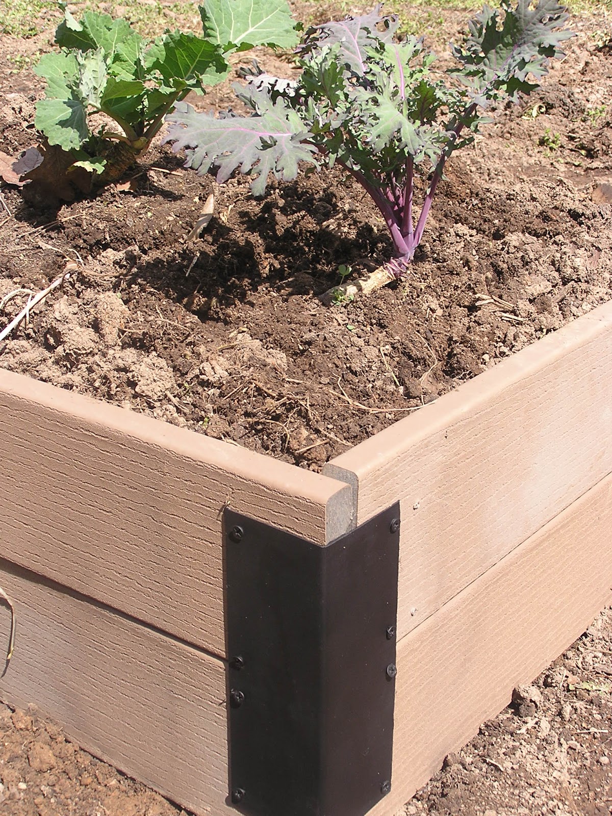 23 DIY Frugal Raised Garden Beds Ideas You Must Look | SharonSable