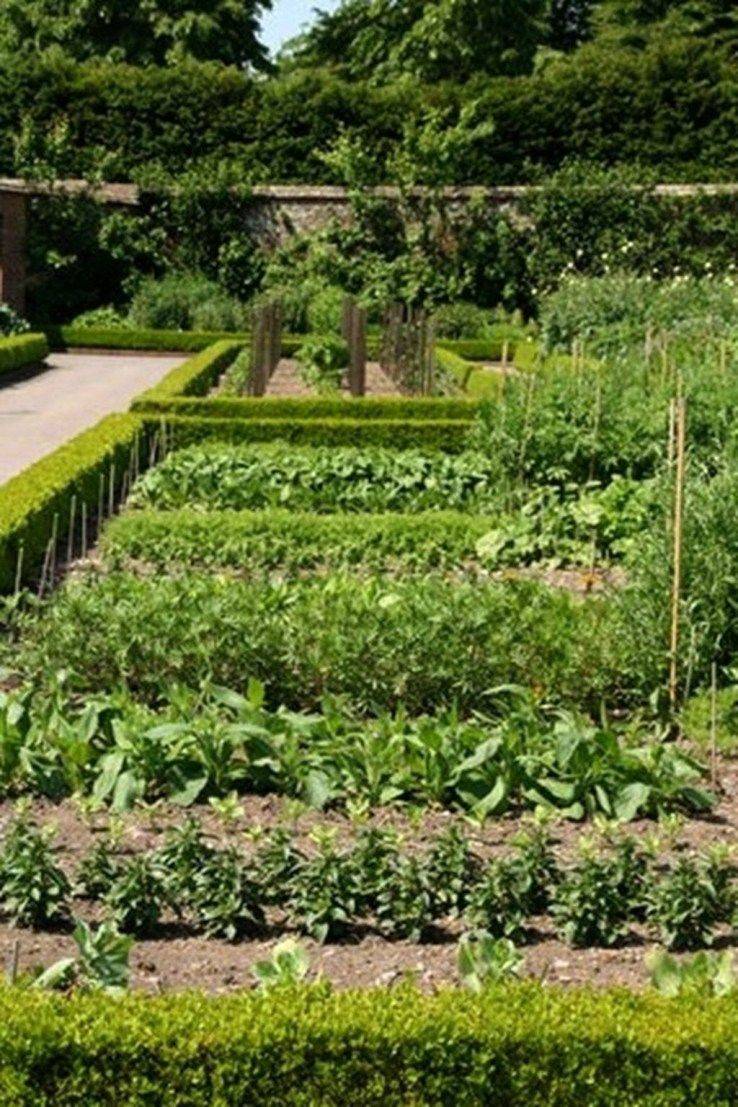 19 Fancy Vegetable Garden Ideas You Gonna Love | SharonSable