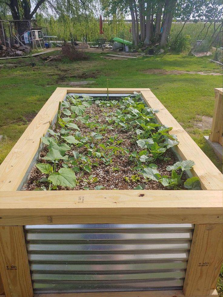 21 4X8 Raised Garden Bed Layout Ideas You Should Look | SharonSable