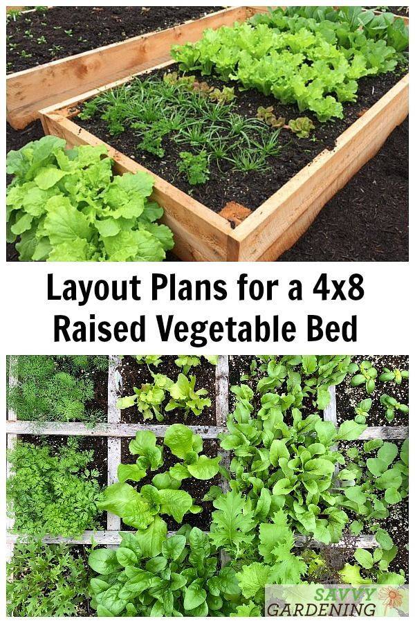 21 4X8 Raised Garden Bed Layout Ideas You Should Look | SharonSable