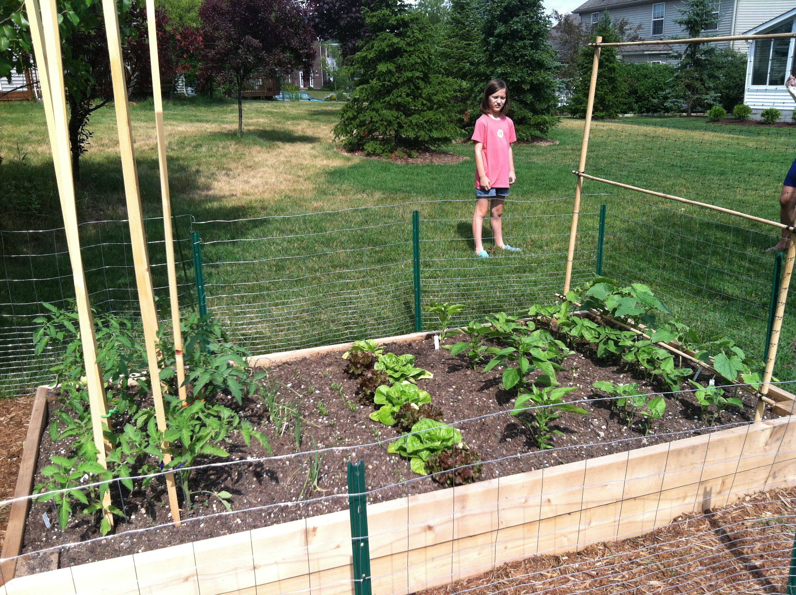 21 4X8 Raised Garden Bed Layout Ideas You Should Look | SharonSable