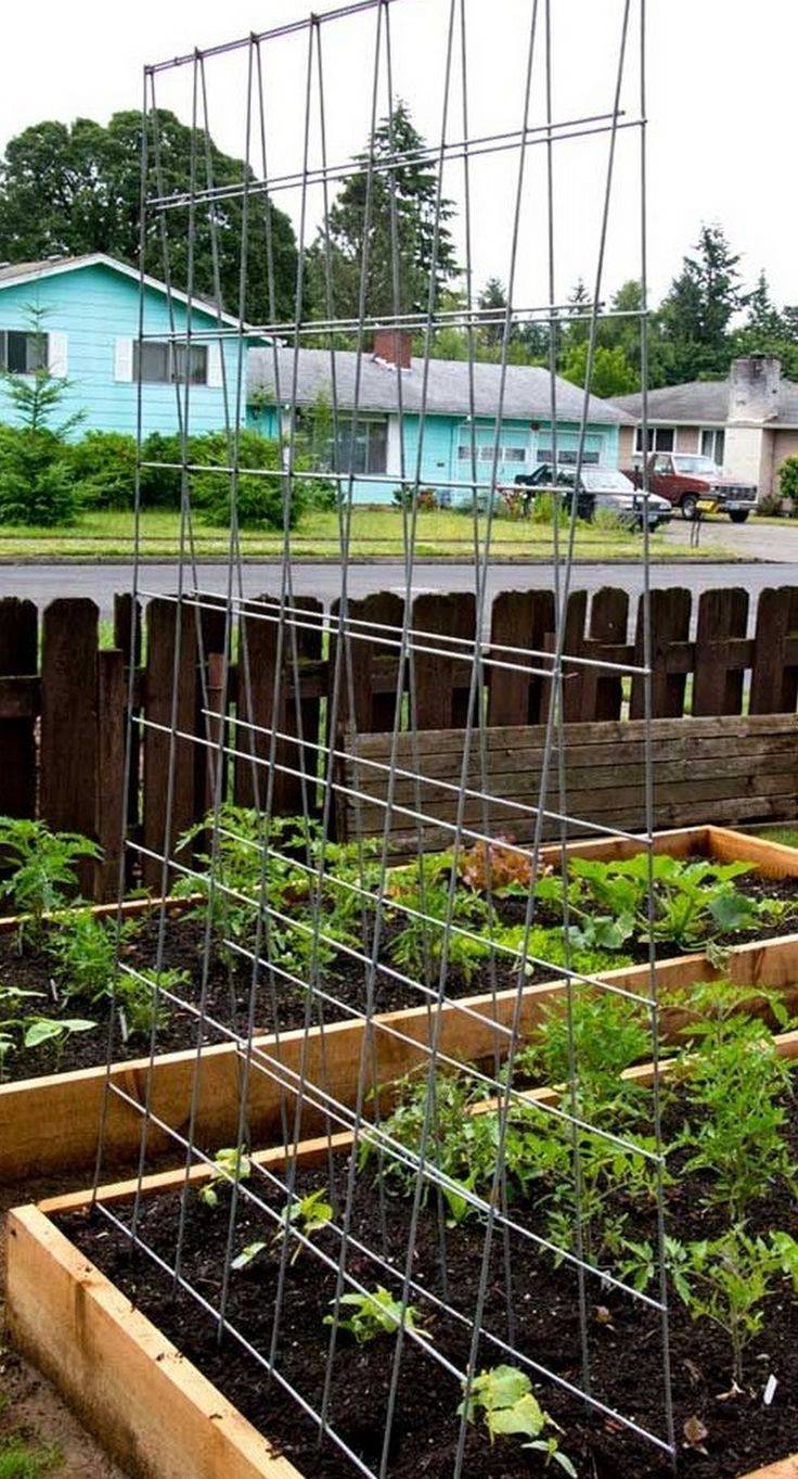 21 Vertical Garden Trellis Ideas You Must Look | SharonSable