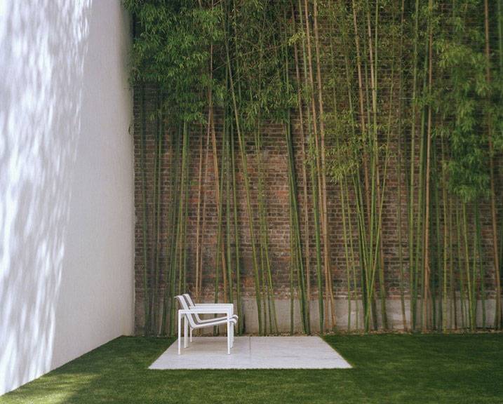 20 Bamboo Garden Wall Ideas You Should Check | SharonSable