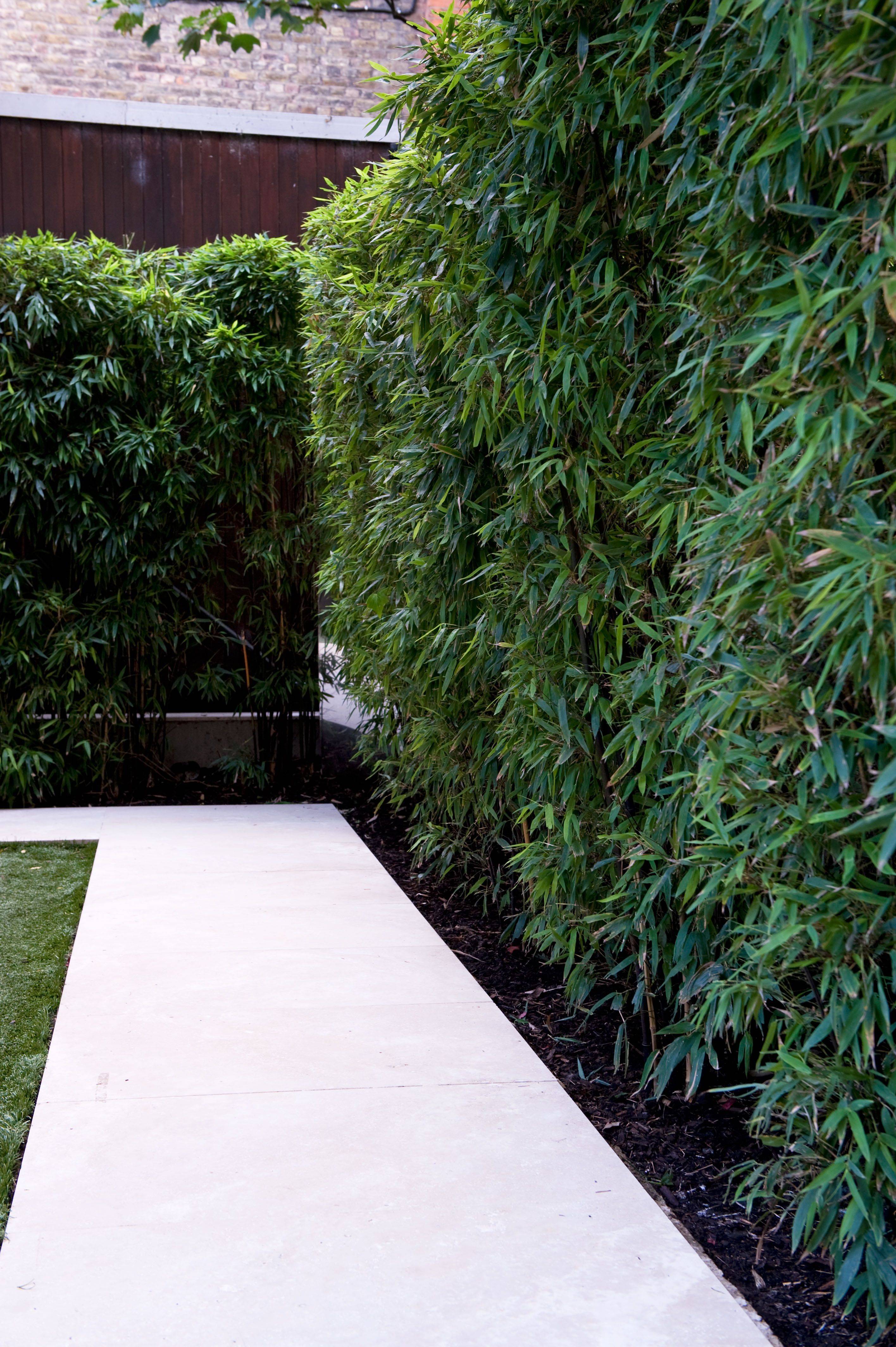 20 Bamboo Garden Wall Ideas You Should Check | SharonSable