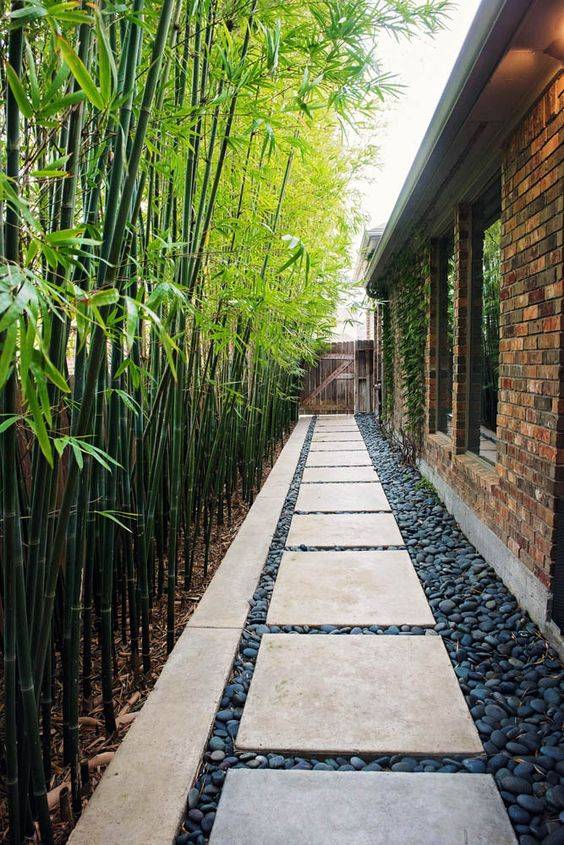 20 Bamboo Garden Wall Ideas You Should Check | SharonSable