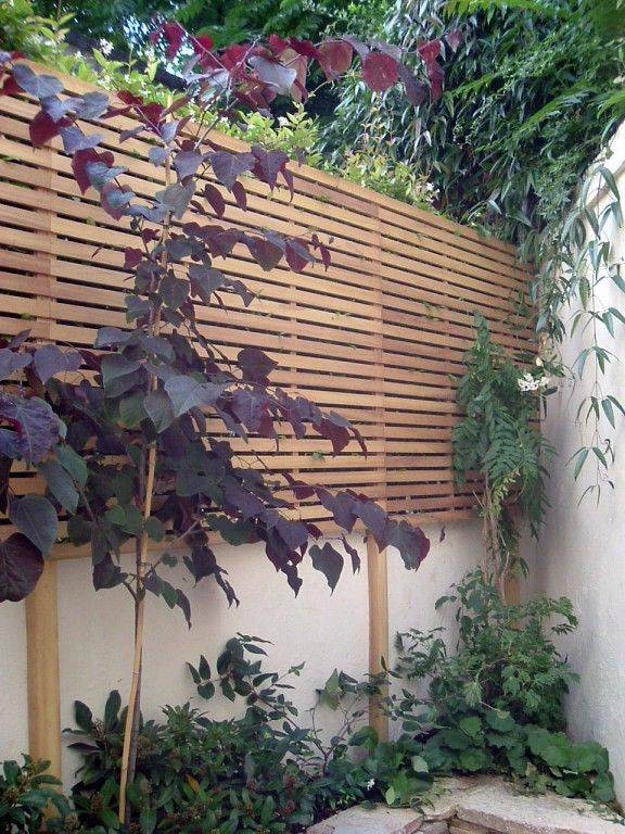 20 Bamboo Garden Wall Ideas You Should Check | SharonSable