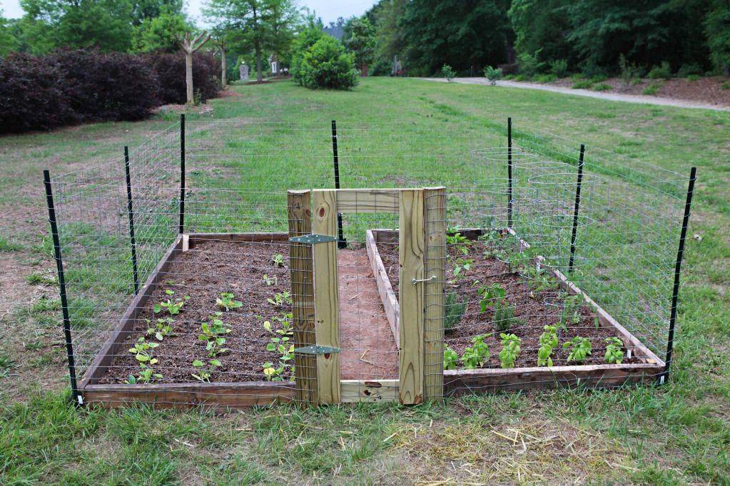 18 Raised Garden Bed with Fence DIY Ideas You Should Check | SharonSable