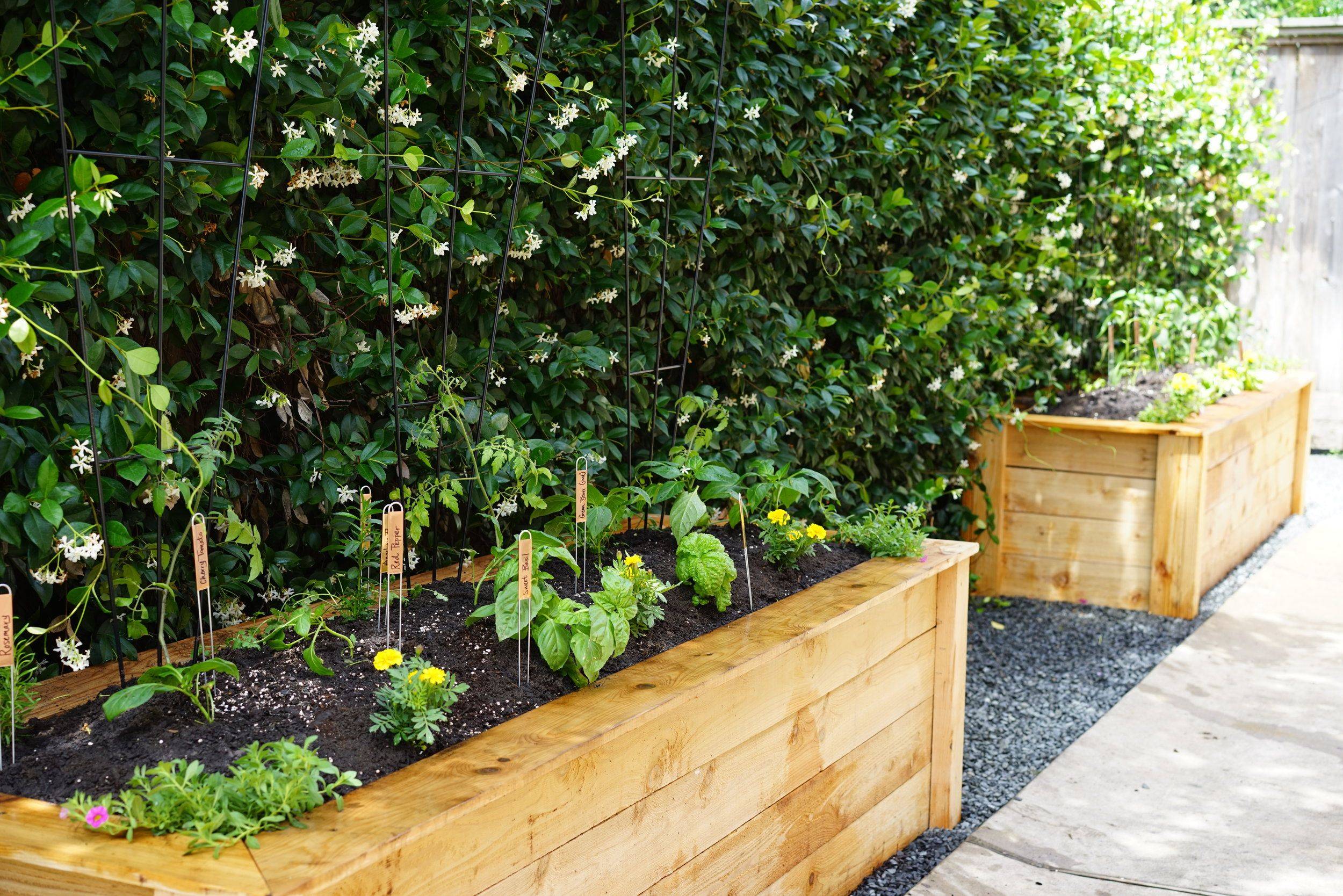 18 Raised Bed Kitchen Garden Design Ideas You Gonna Love | SharonSable