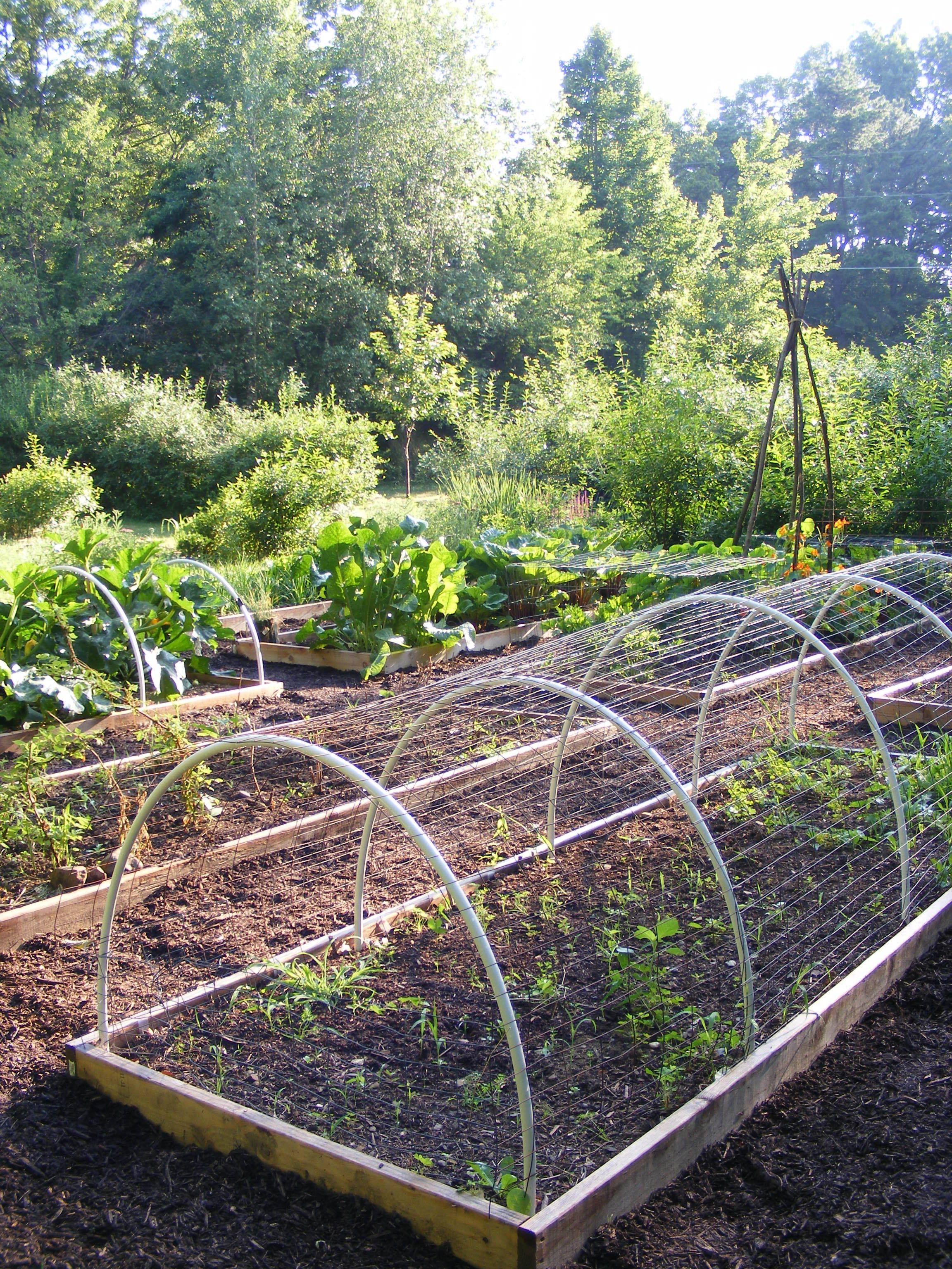 18 Raised Bed Kitchen Garden Design Ideas You Gonna Love | SharonSable