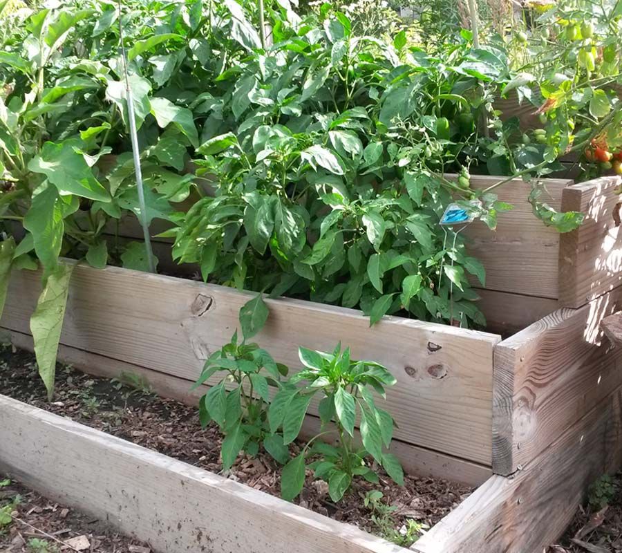 18 Raised Bed Kitchen Garden Design Ideas You Gonna Love | SharonSable