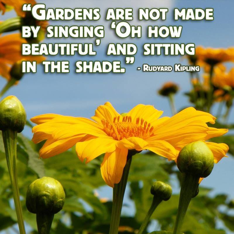 19 Beautiful Garden Quotes Ideas You Gonna Love | SharonSable