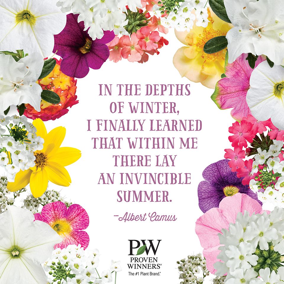 19 Beautiful Garden Quotes Ideas You Gonna Love | SharonSable