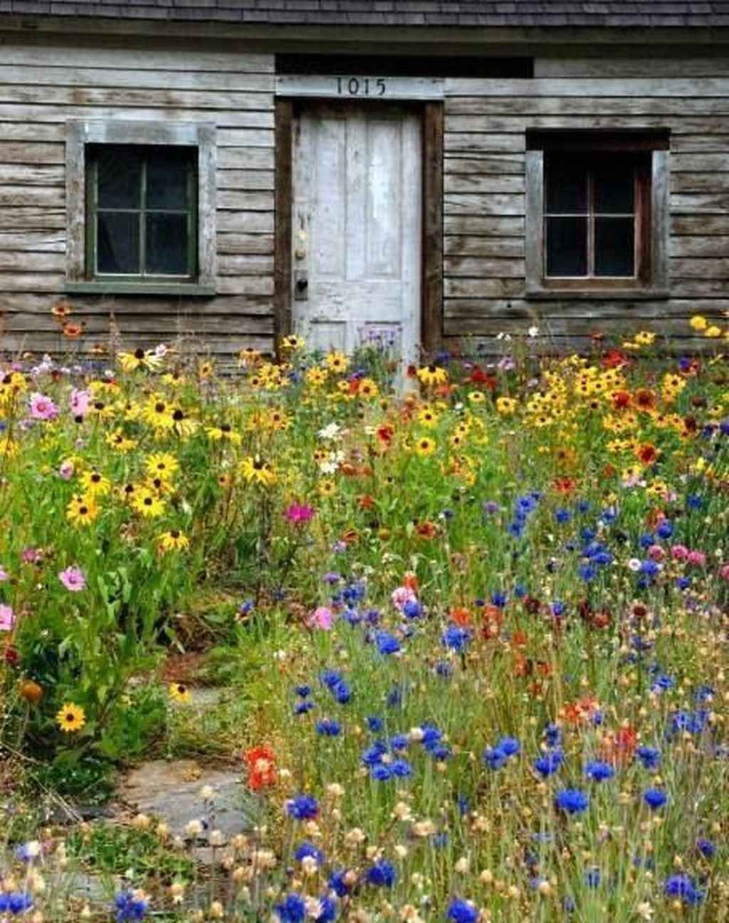 19 Wildflower Garden Ideas You Cannot Miss | SharonSable