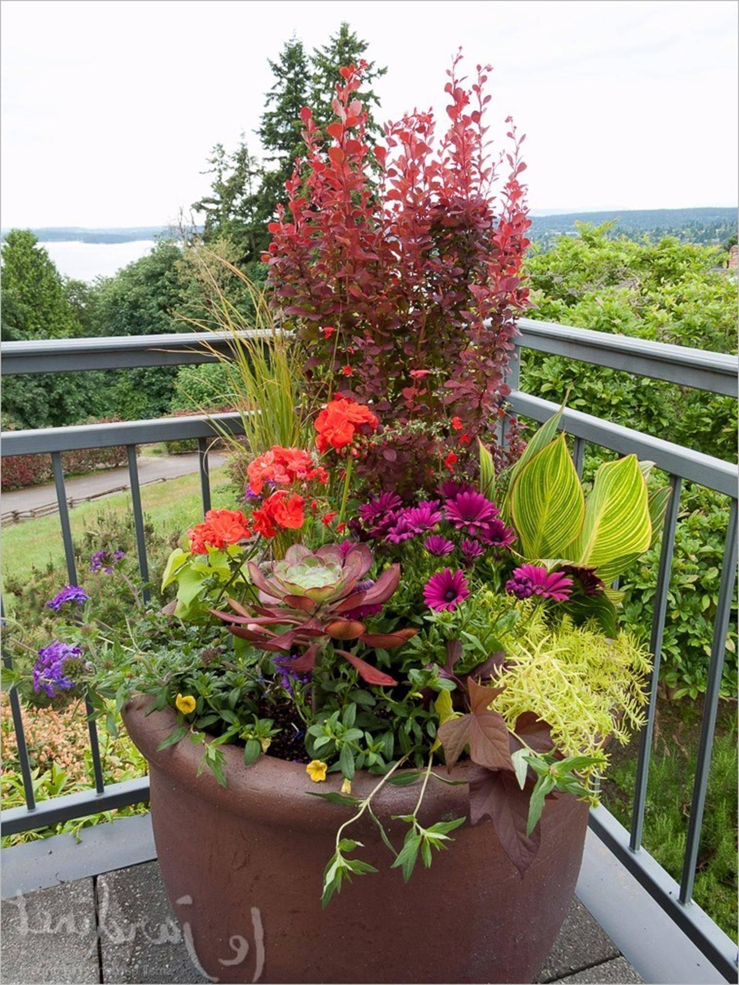 22 Beautiful Container Garden Ideas You Should Check | SharonSable