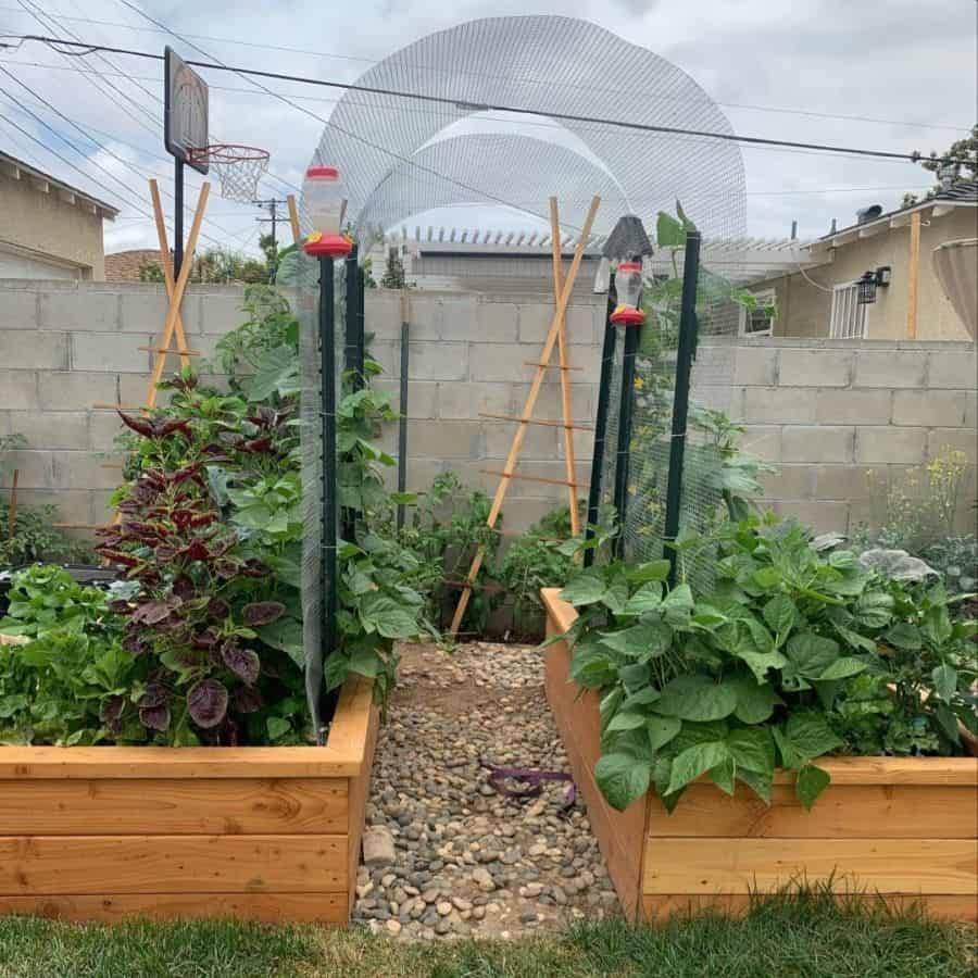 23 Raised Garden Bed with Trellis for Roses Ideas You Gonna Love ...