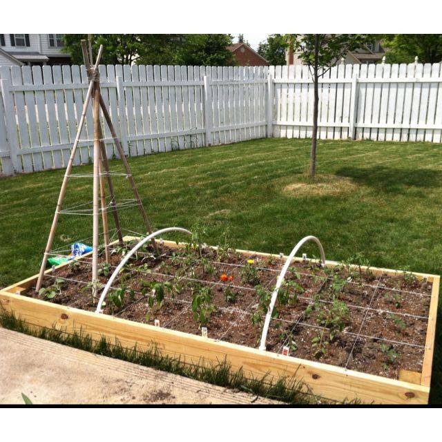23 Raised Garden Bed with Trellis for Roses Ideas You Gonna Love ...