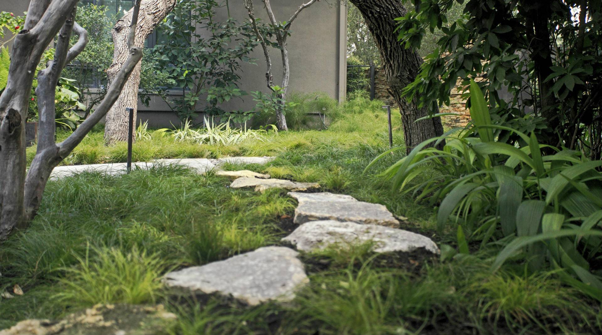 20 Deep Shade Garden Ideas Worth to Check | SharonSable